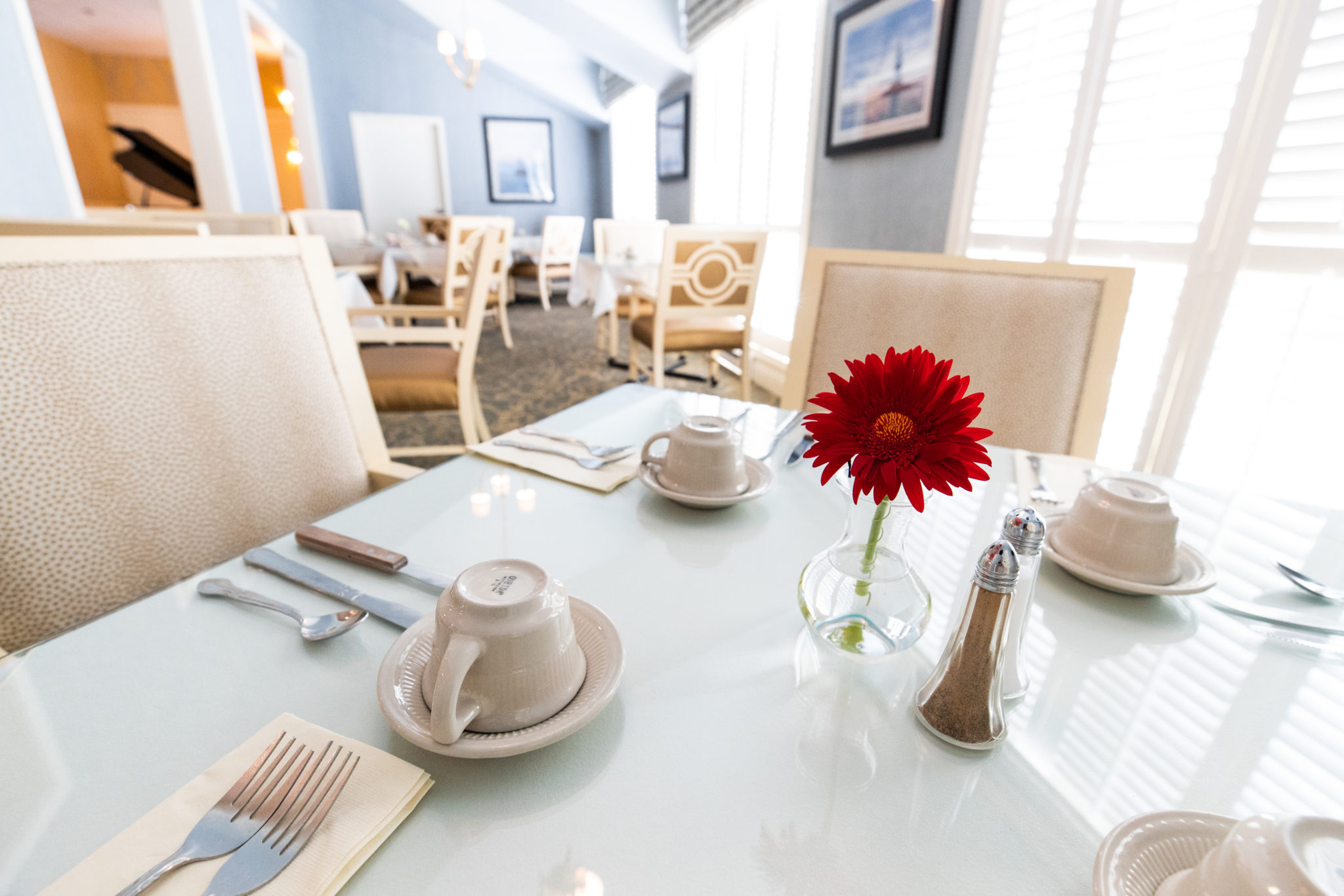 Amenities at The Elms - Assisted Living Amenities - On Site Amenities